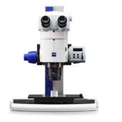 Zeiss Microscopes - Stereo, zoom, or confocal microscopes available